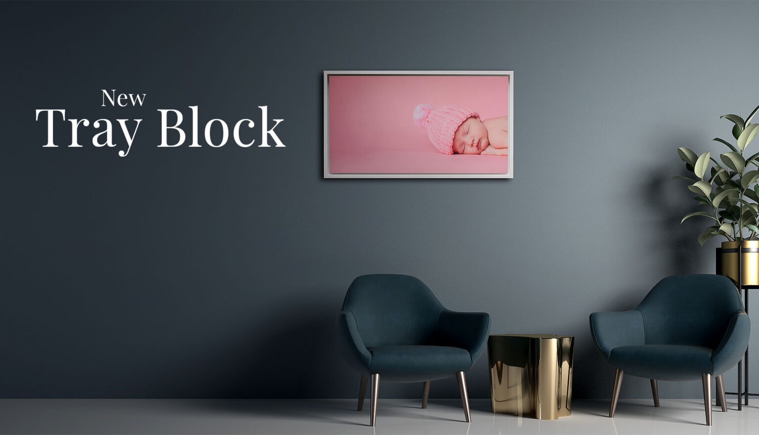 Tray Block - C41s Blog